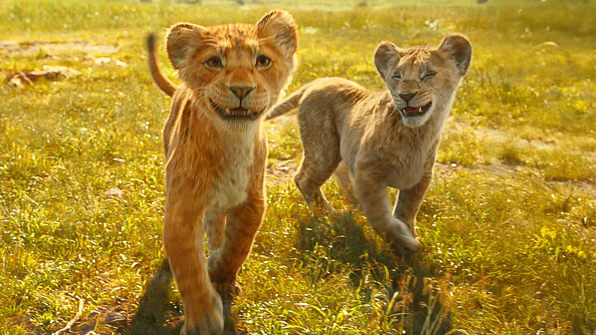 Mufasa: The Lion King Sing-Along full movie. Action Adventure Drama ...