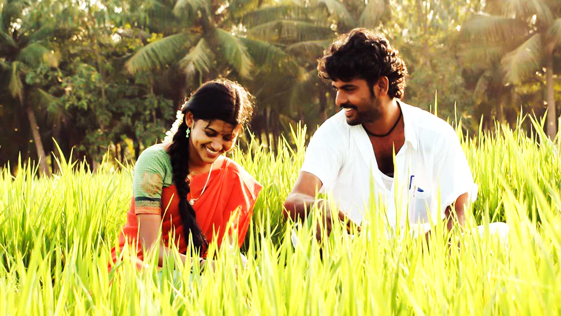 JioHotstar - Watch TV Shows, Movies, Specials, Live Cricket & Football