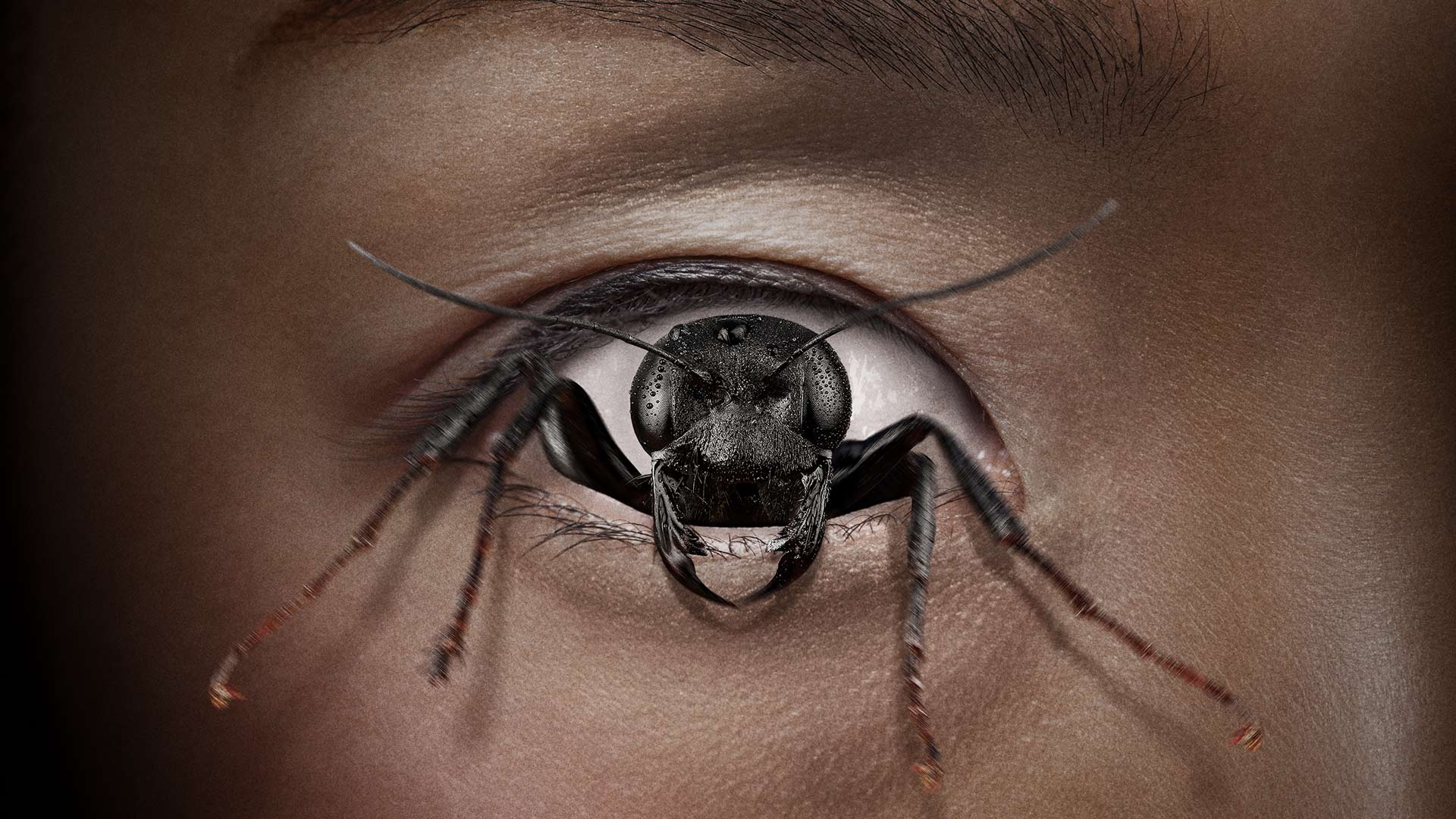 Control Freak on Disney+ UAE | English Horror Thriller MOVIE