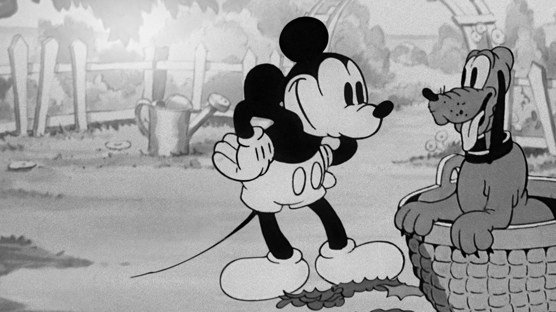 Playful Pluto on Disney+ United Arab Emirates | English Animation MOVIE