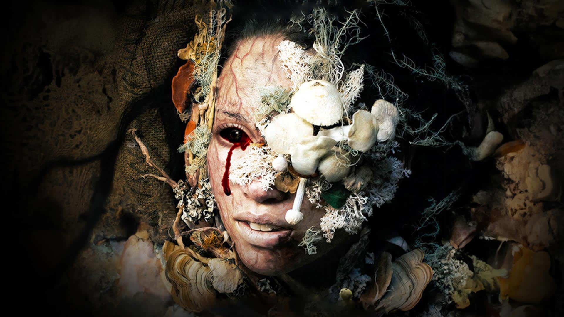 JioHotstar - Watch TV Shows, Movies, Specials, Live Cricket & Football