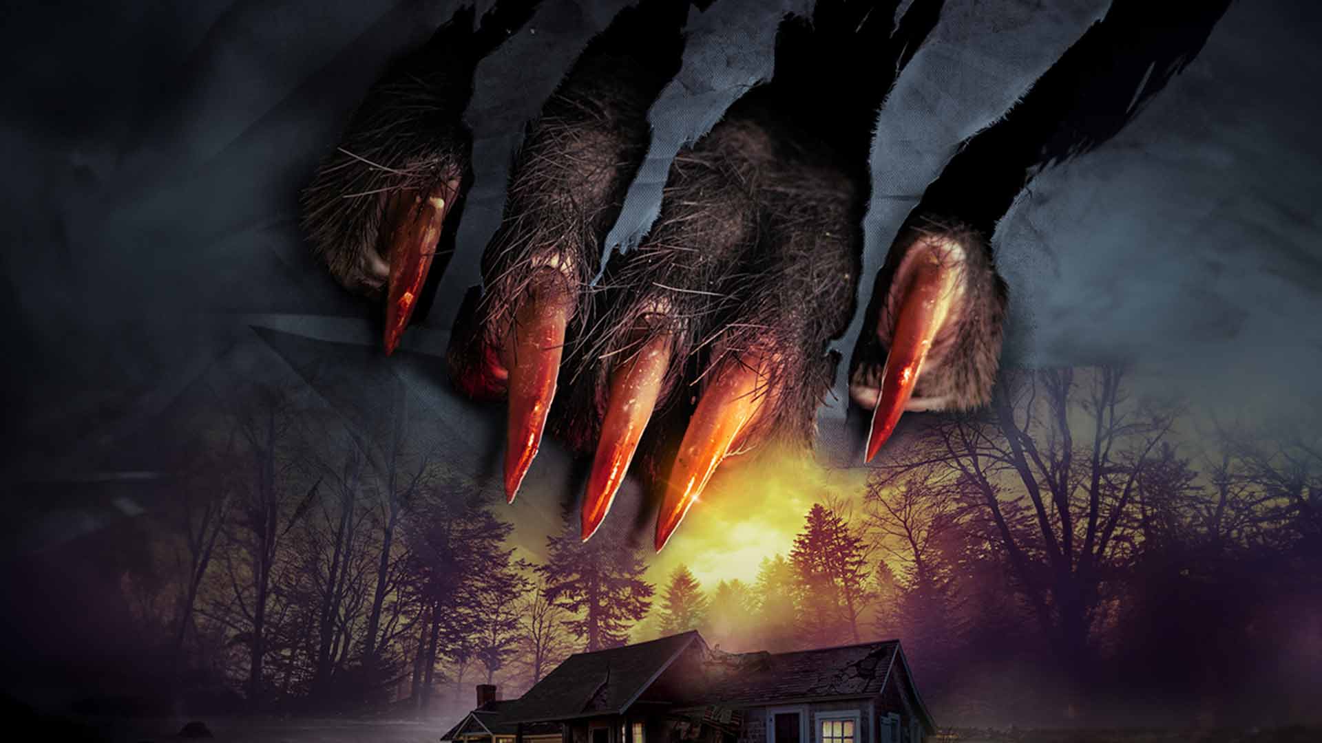 JioHotstar - Watch TV Shows, Movies, Specials, Live Cricket & Football