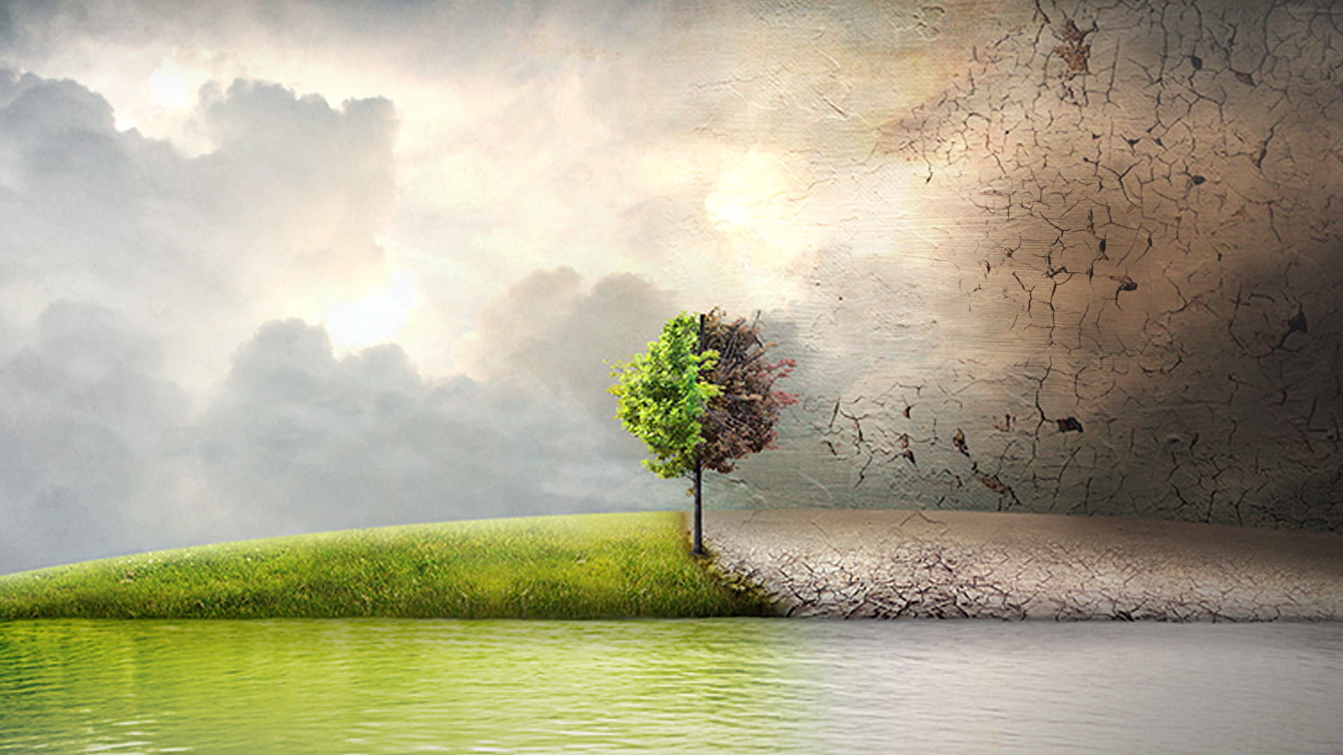 Before The Flood full movie. Documentary film di Disney+.