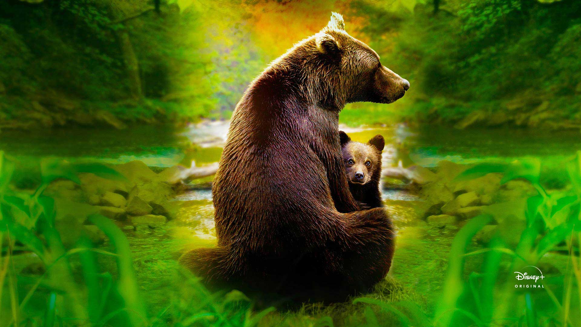 ซีรีส์ Growing Up Animal Wildlife Documentary รับชมได้เลยบน Disney+