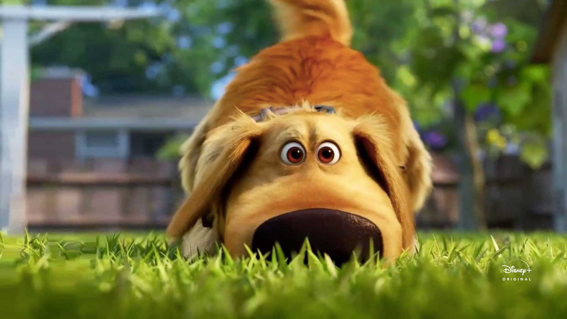 Dug Days, Kids TV Series - Nonton Semua Episode Terbaru Online di Disney+