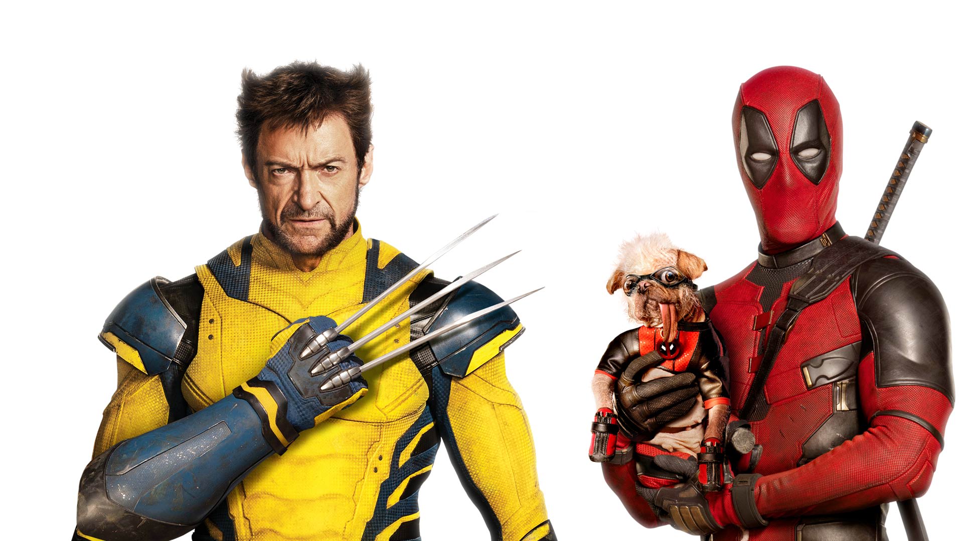 JioHotstar - Watch TV Shows, Movies, Specials, Live Cricket & Football