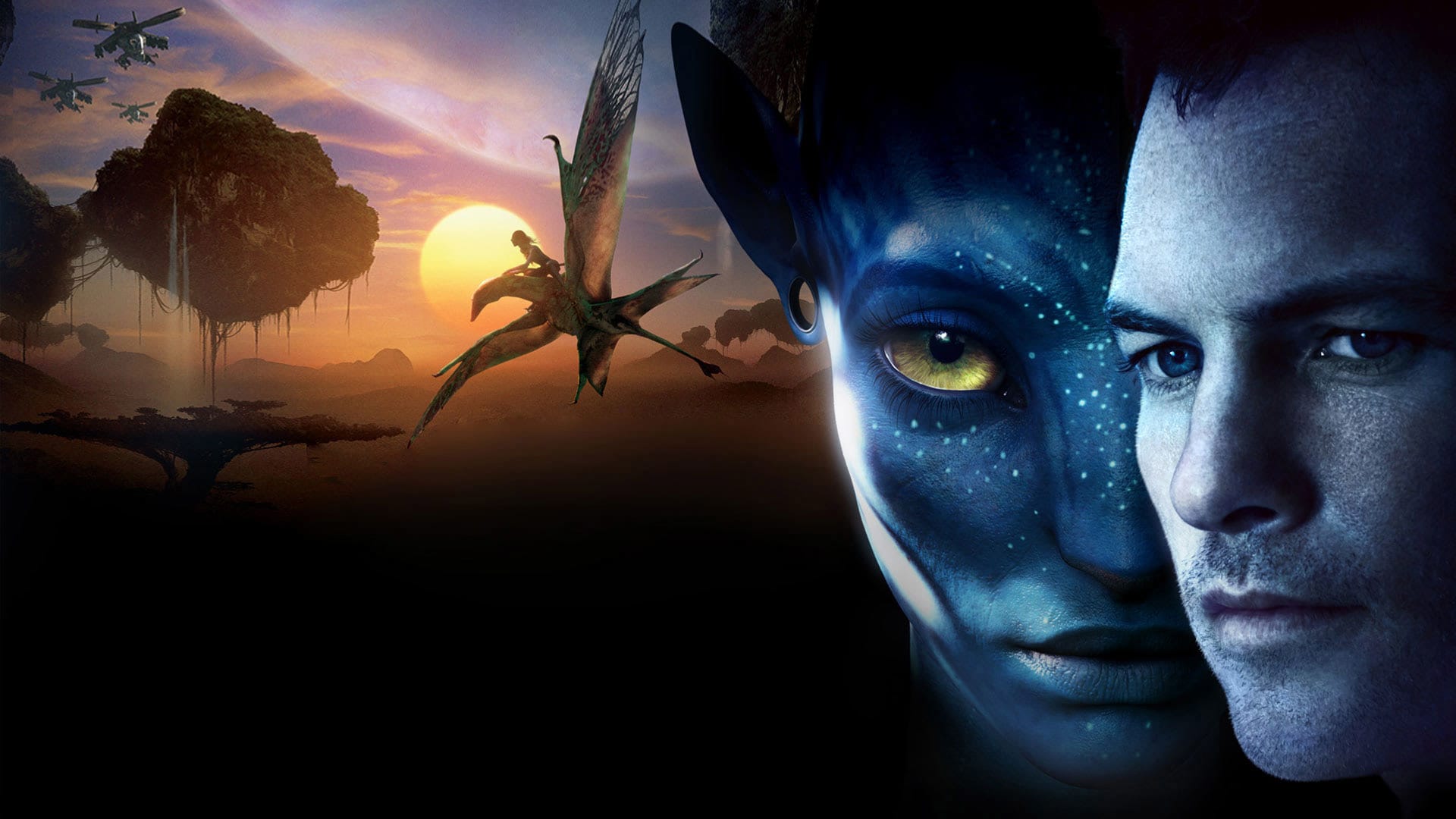 Avatar - Disney+