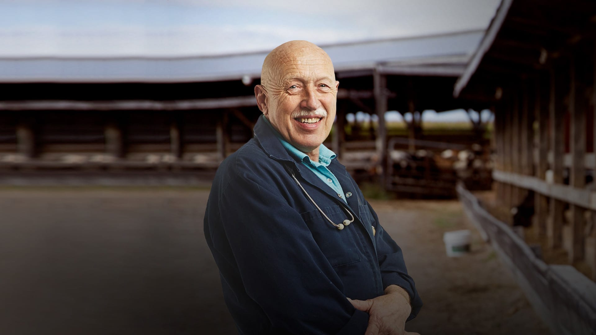 The Incredible Dr. Pol Reality Series, now streaming on Disney+