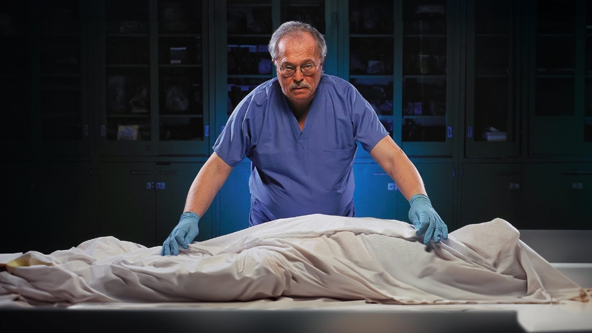 JioHotstar - Watch TV Shows, Movies, Specials, Live Cricket & Football