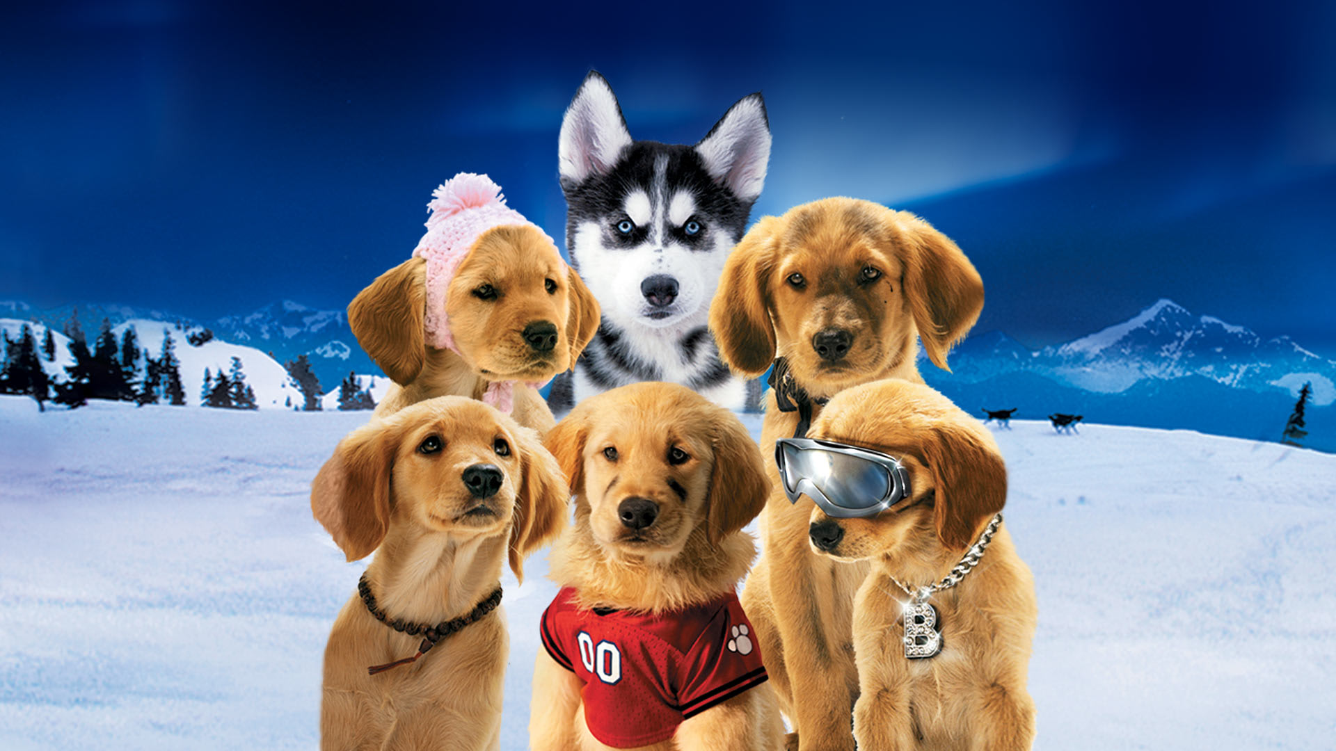 Snow Buddies on Disney+ South Africa | English Comedy Movie