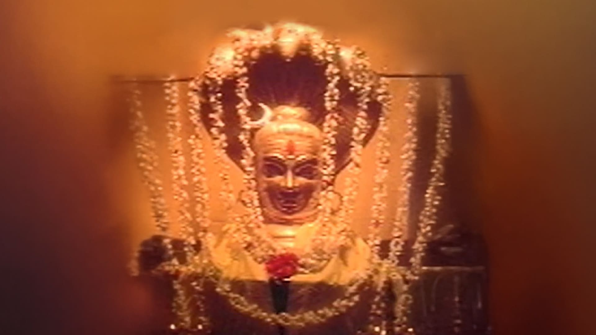 JioHotstar - Watch TV Shows, Movies, Specials, Live Cricket & Football