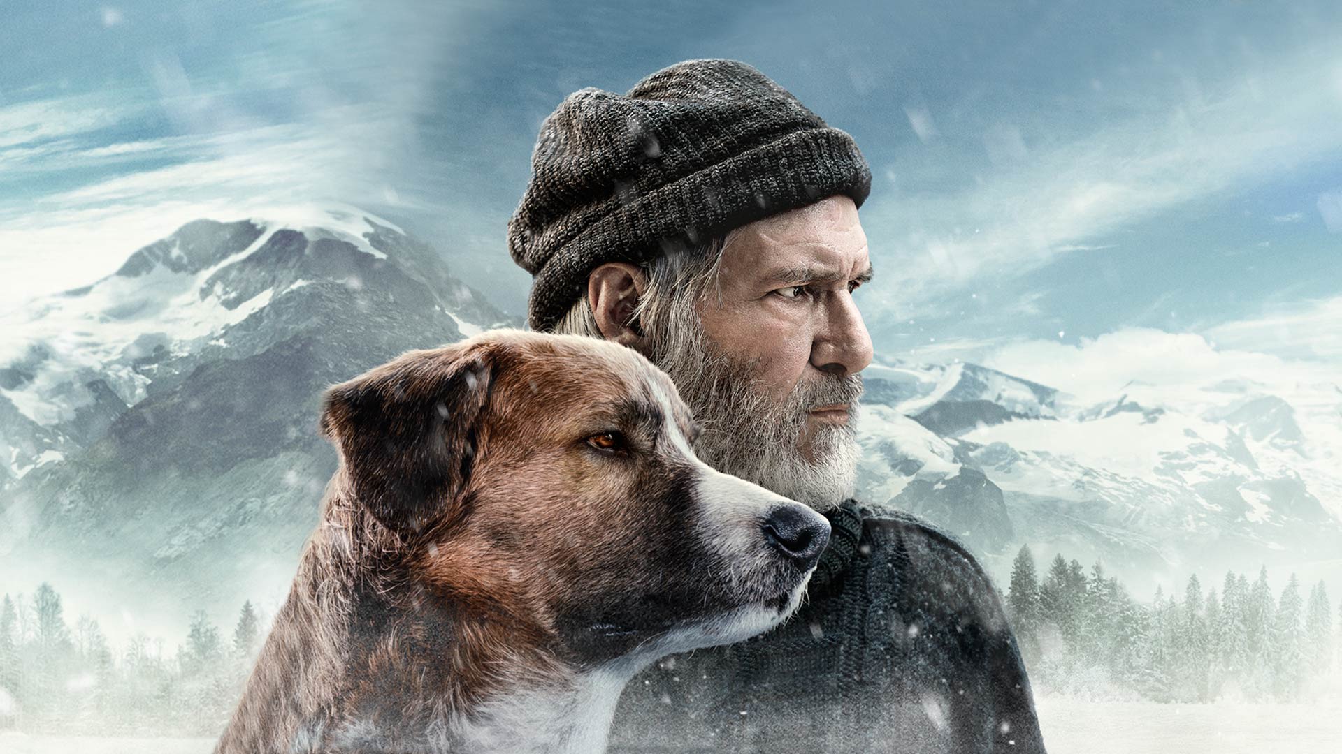 The Call of the Wild full movie. Family Drama film di Disney+.