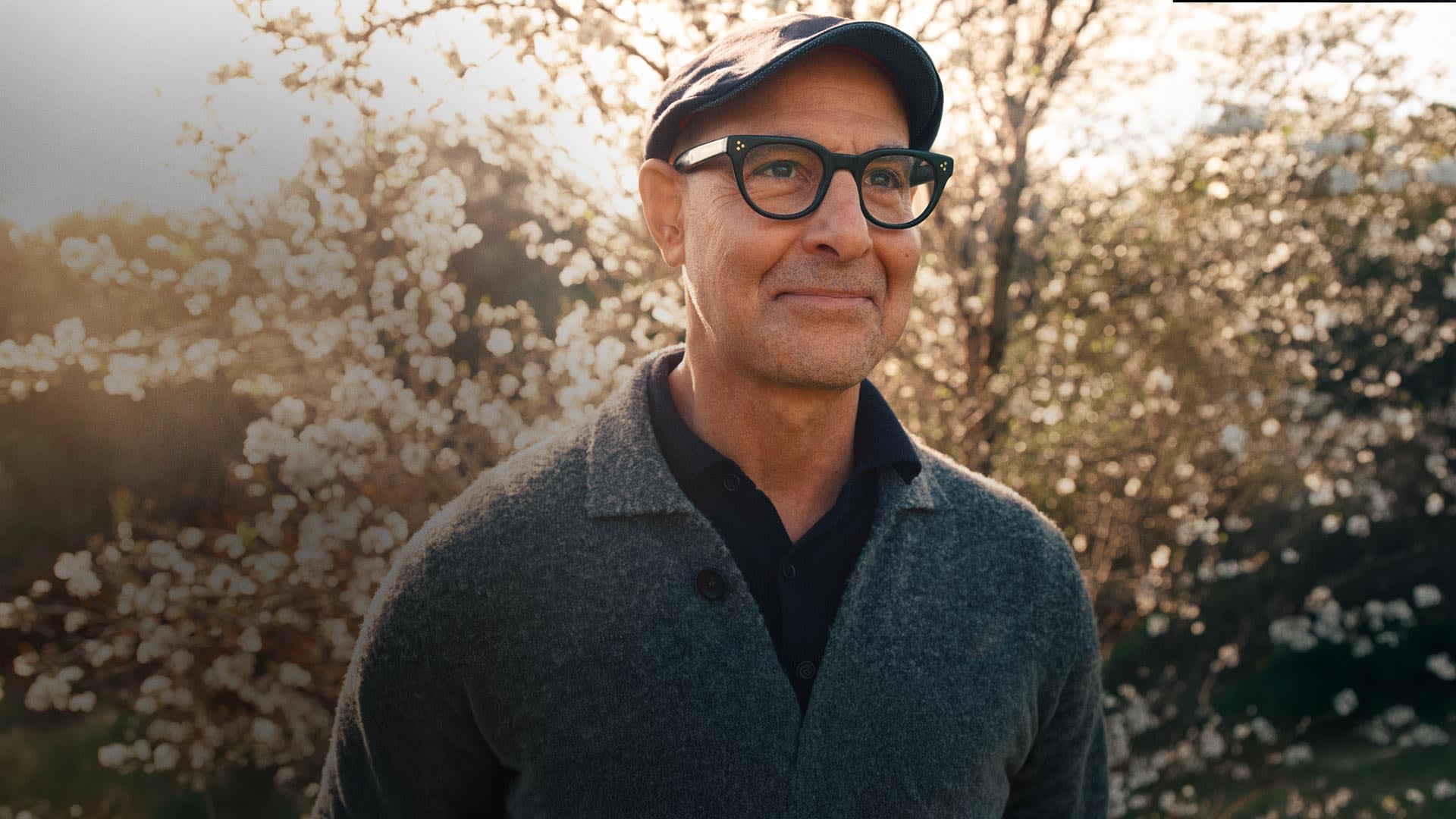 Tucci in Italy - Disney+