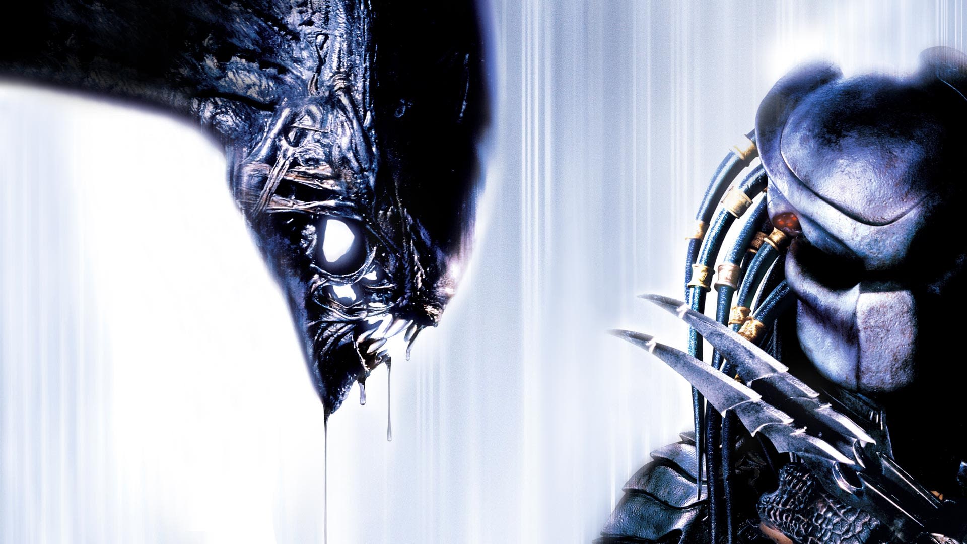 Alien Vs Predator - Disney+