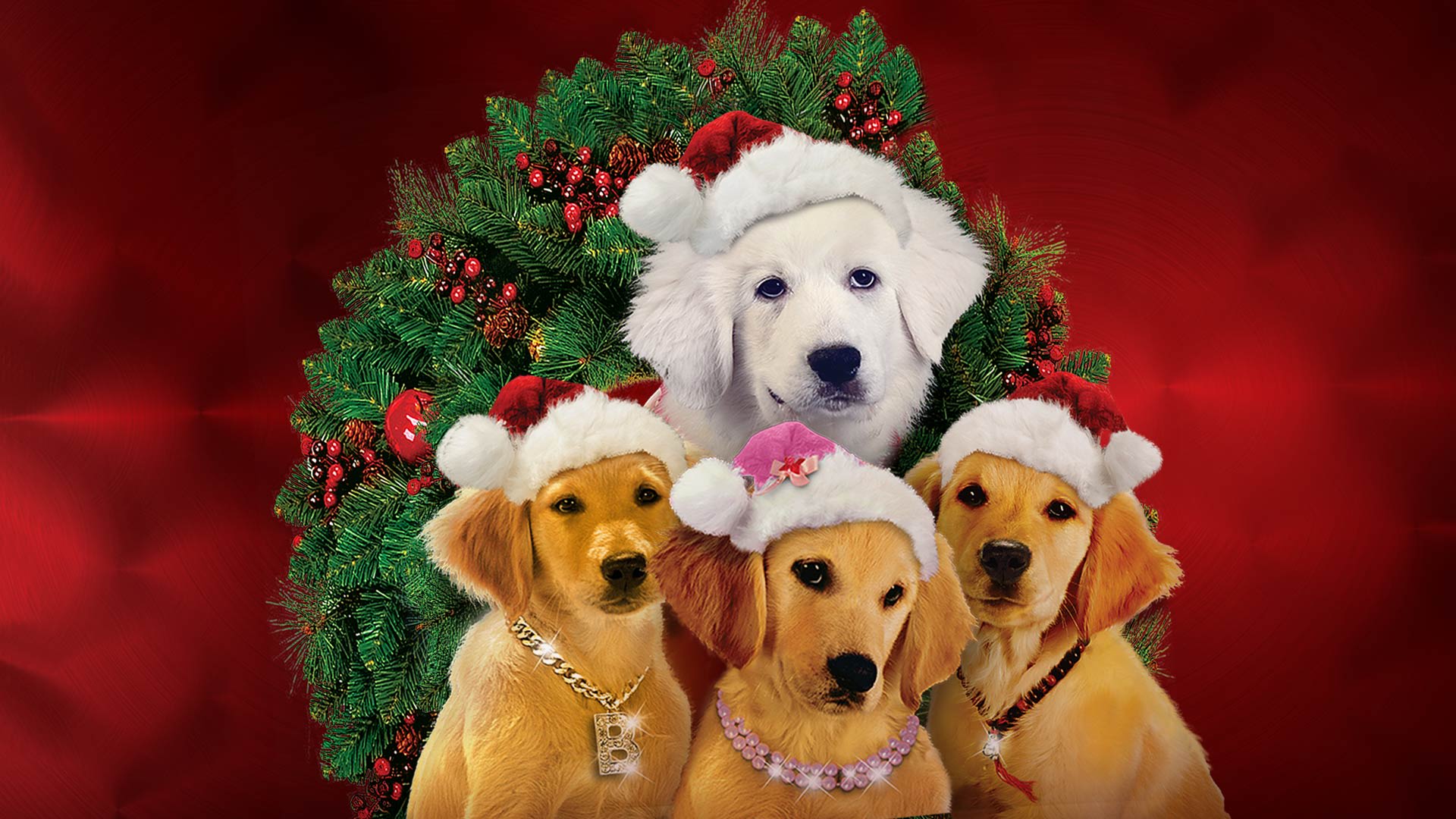 Santa Buddies: The Legend of Santa Paws - Disney+