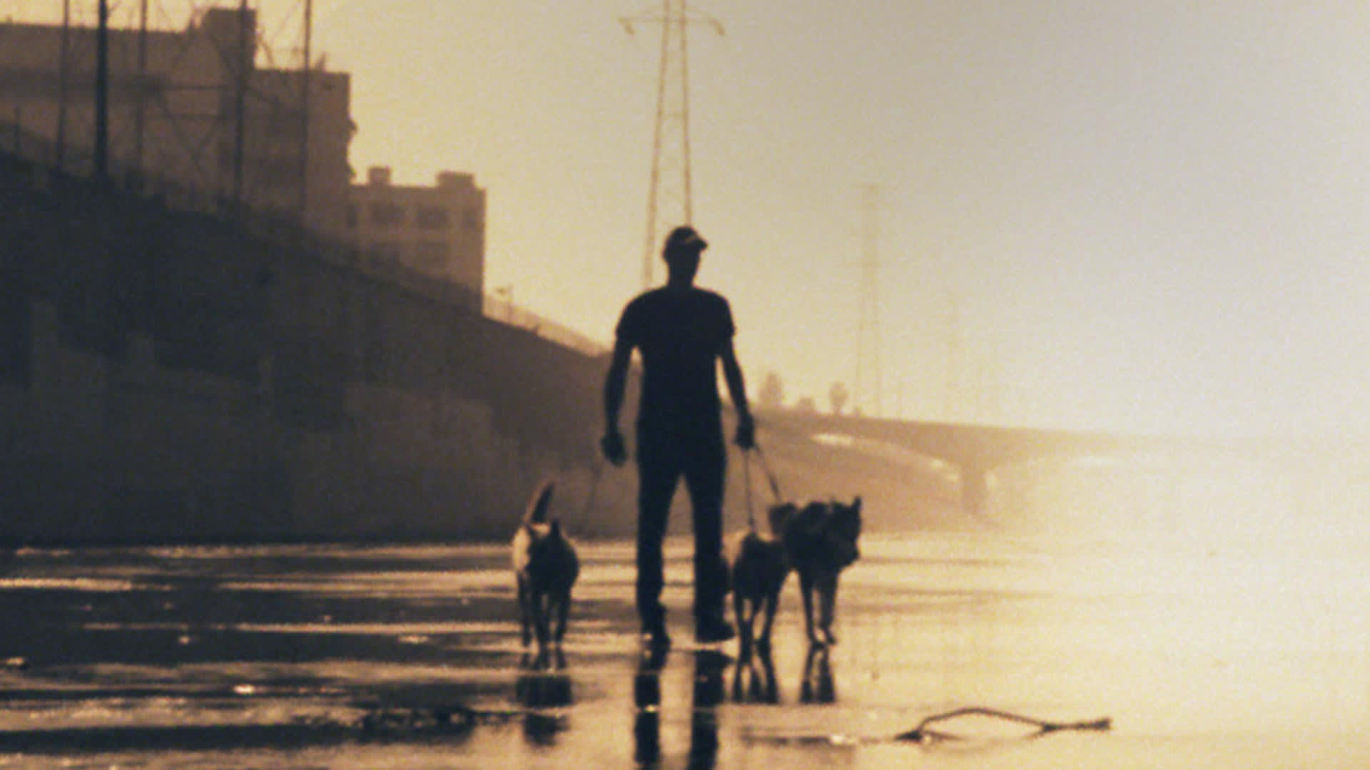 Dog: Impossible on Disney+ United Arab Emirates | Arabic (Modern ...