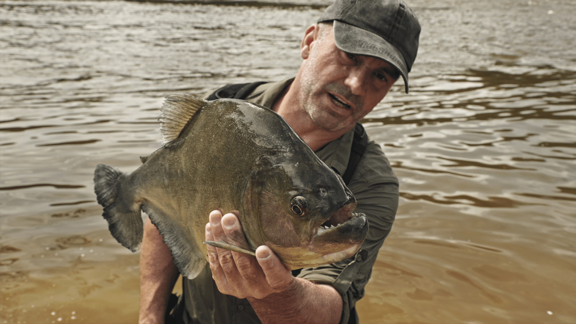 Last of the Giants: Wild Fish - Disney+