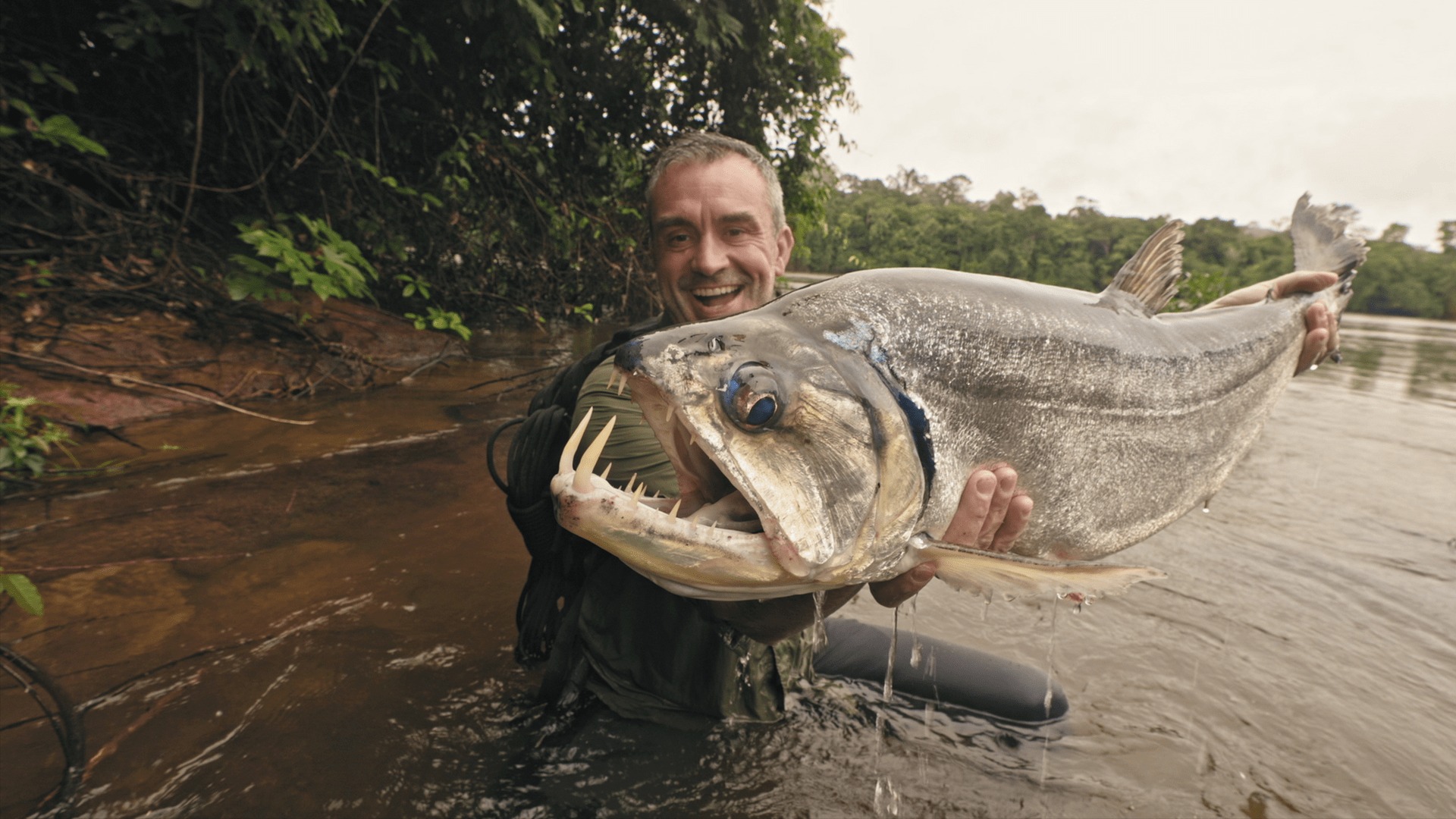 Last of the Giants: Wild Fish - Disney+