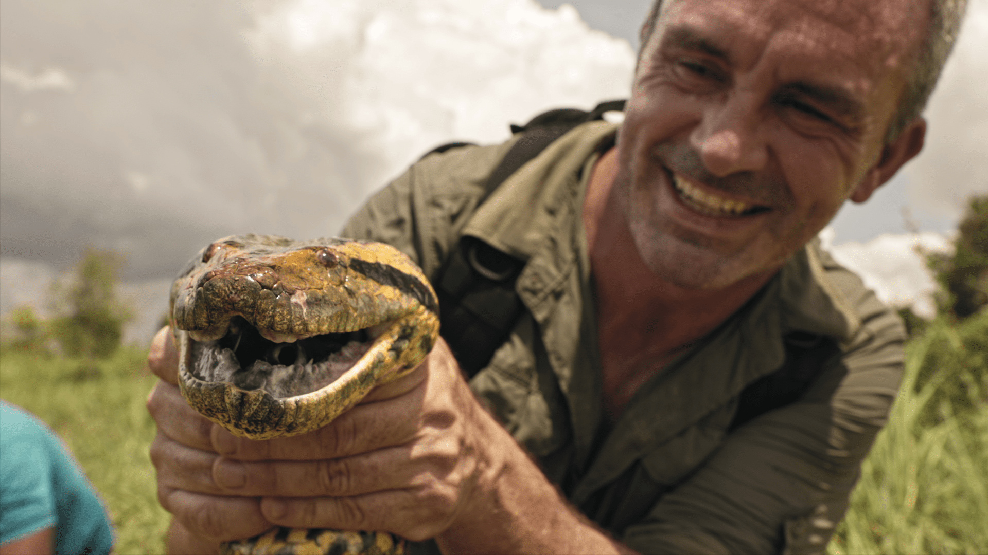 Last of the Giants: Wild Fish - Disney+