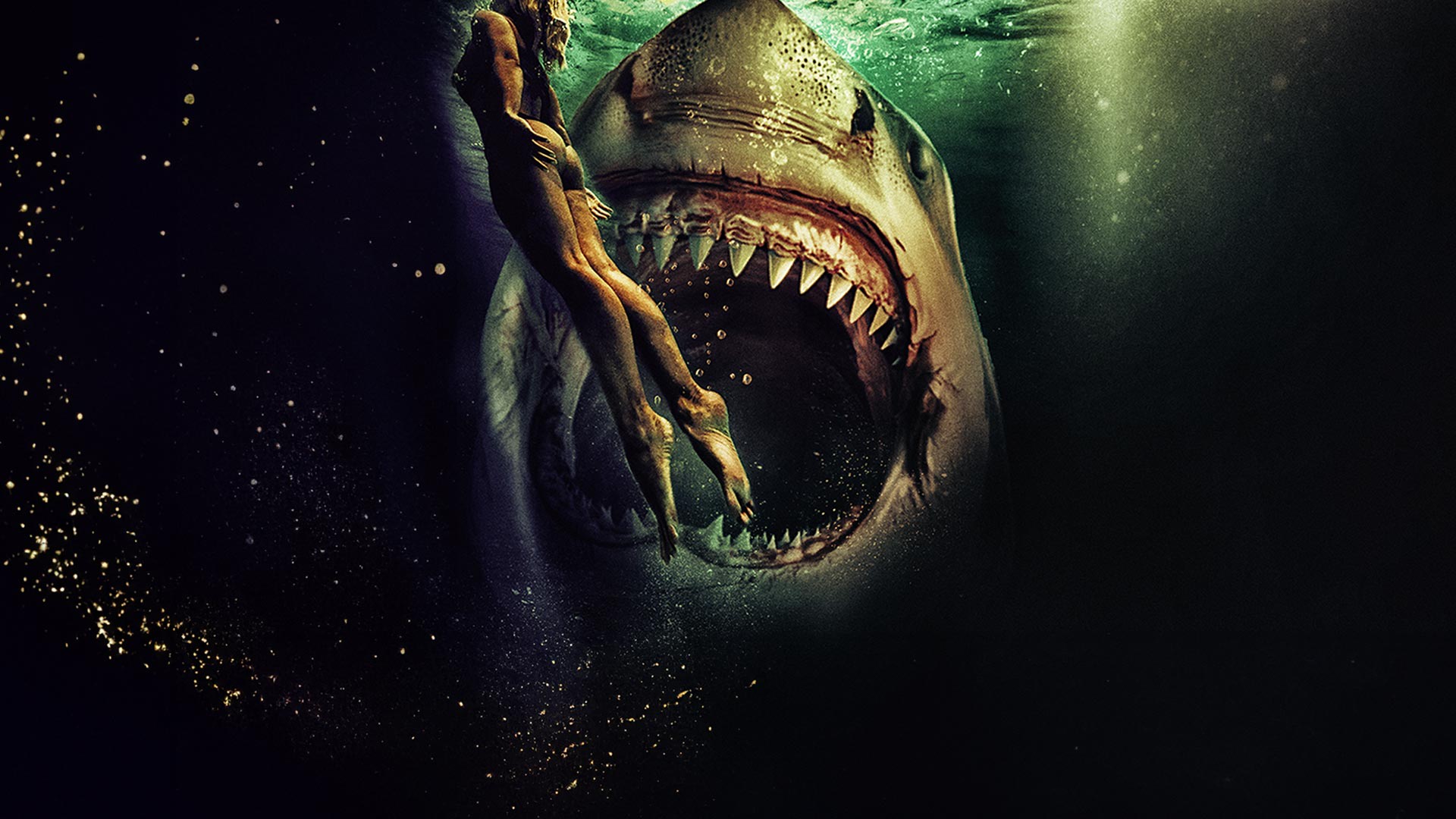 JioHotstar - Watch TV Shows, Movies, Specials, Live Cricket & Football