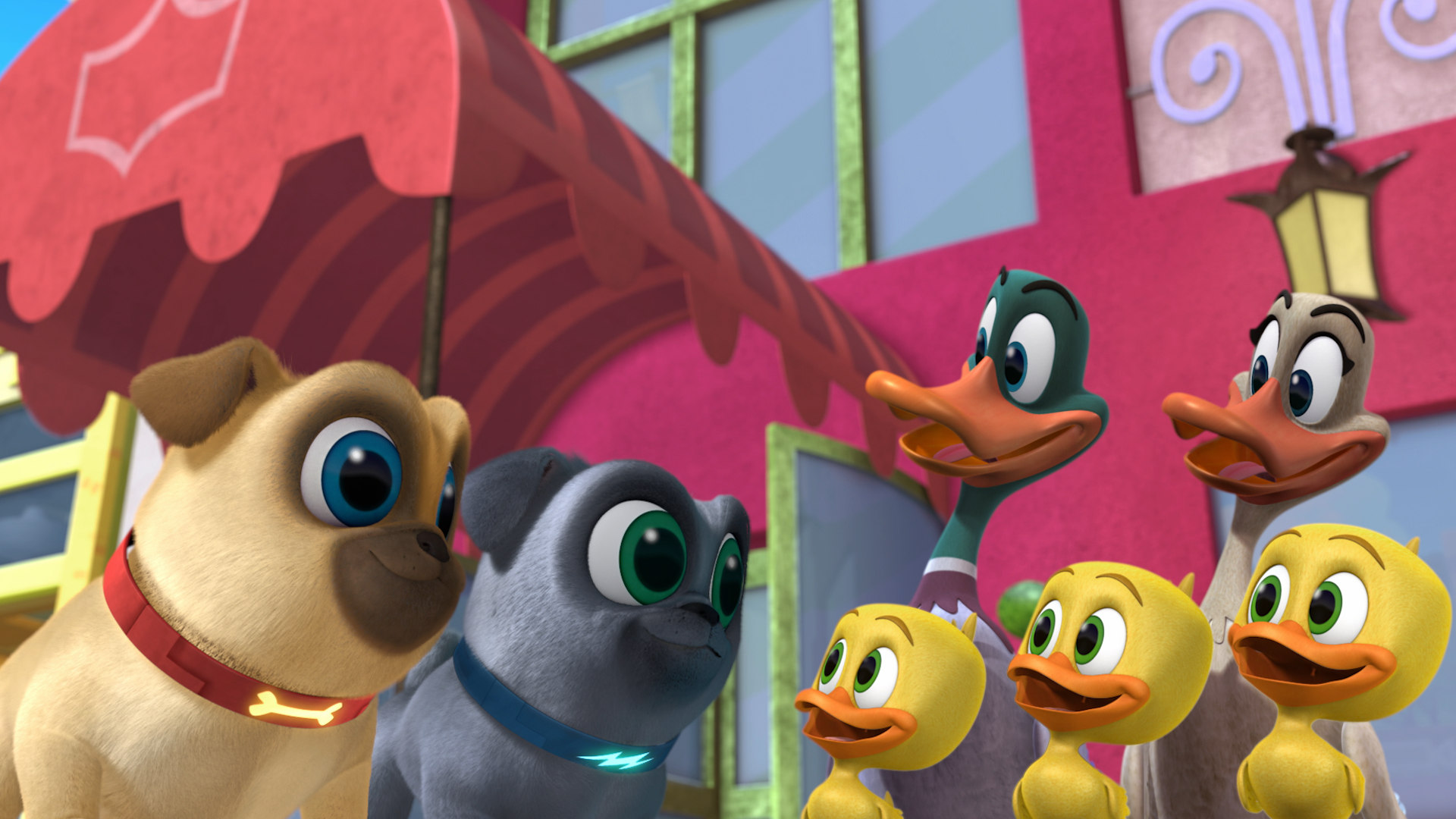 Puppy Dog Pals - Disney+