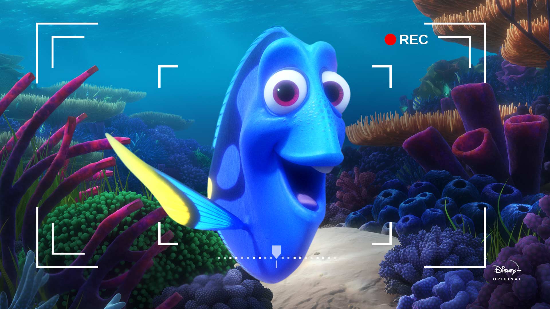 Disney+ Hotstar - Watch TV Shows, Movies, Specials, Live Cricket & Football