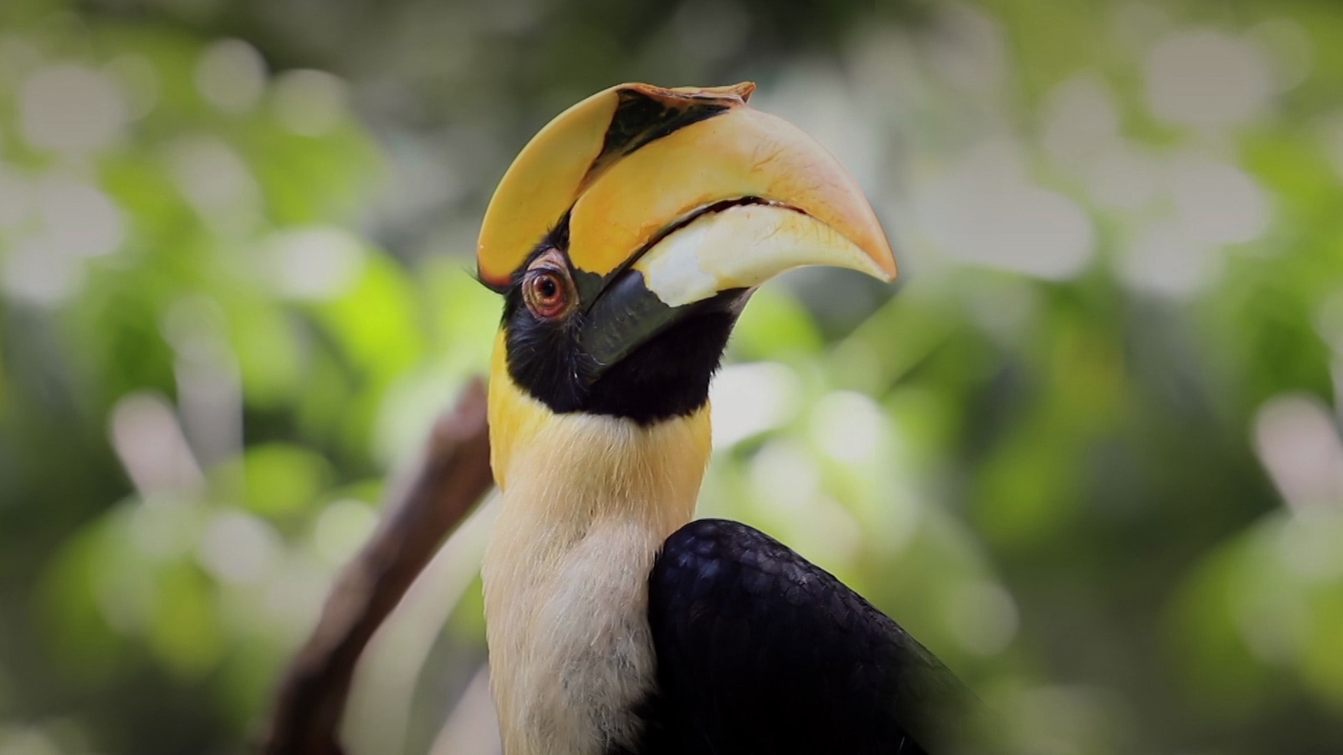 JioHotstar - Watch TV Shows, Movies, Specials, Live Cricket & Football