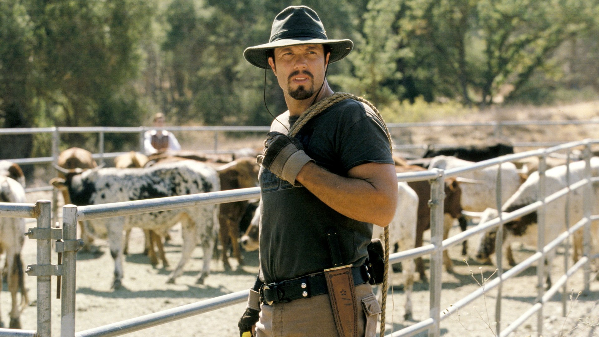 Disney+ | The greatest stories, all in one place