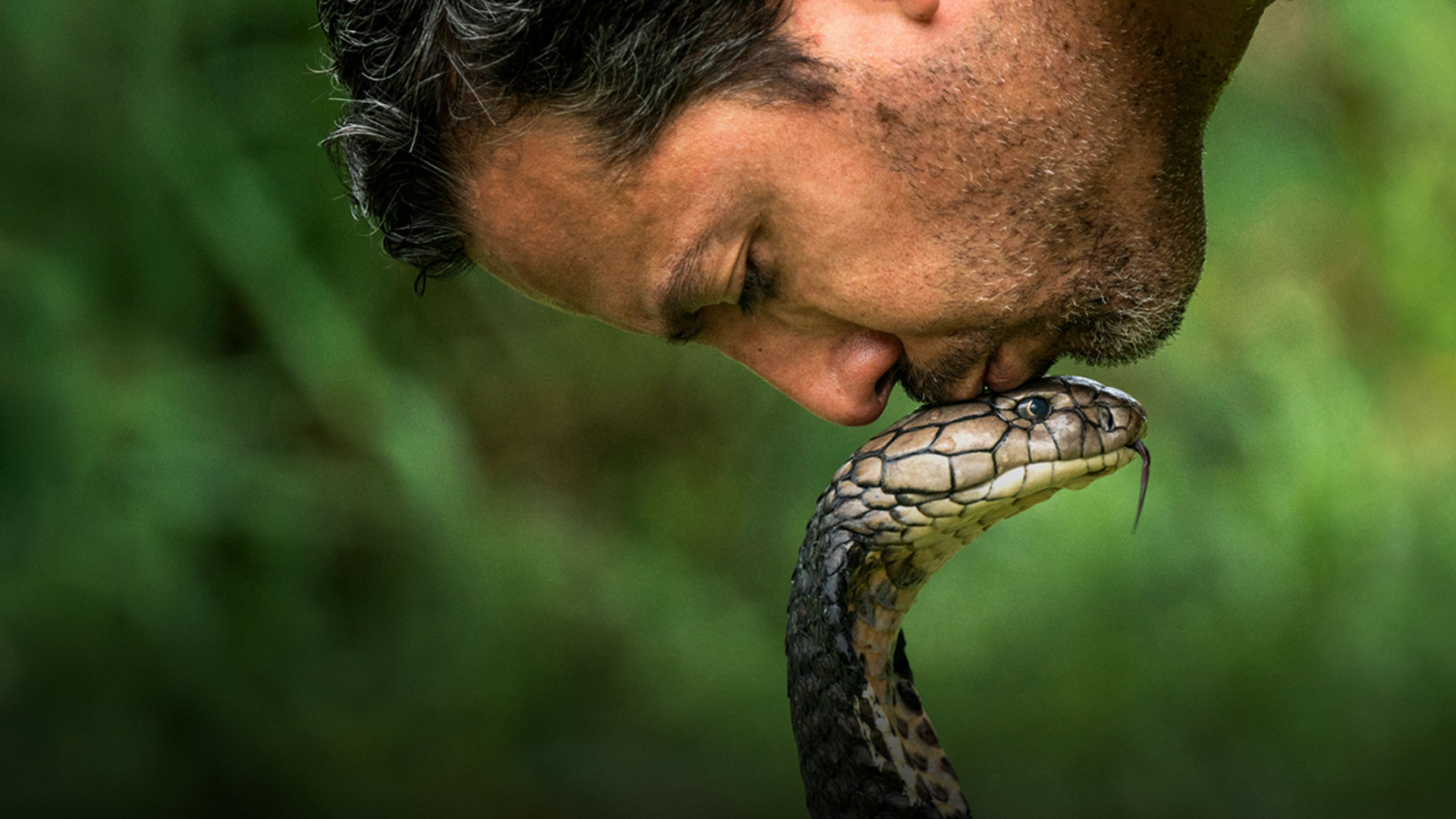 JioHotstar - Watch TV Shows, Movies, Specials, Live Cricket & Football