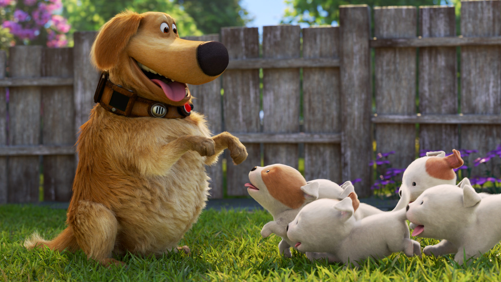 Dug Days - Disney+