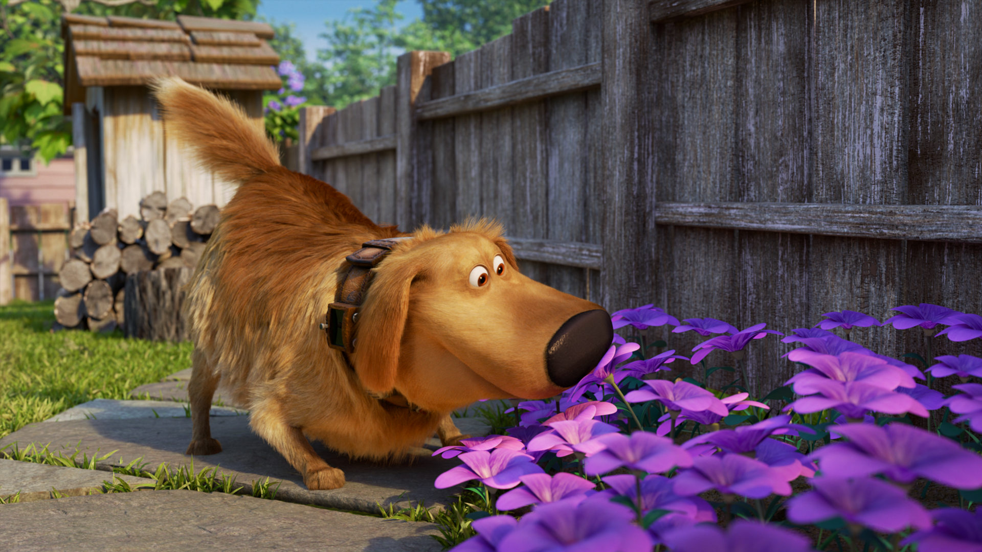 Dug Days - Disney+