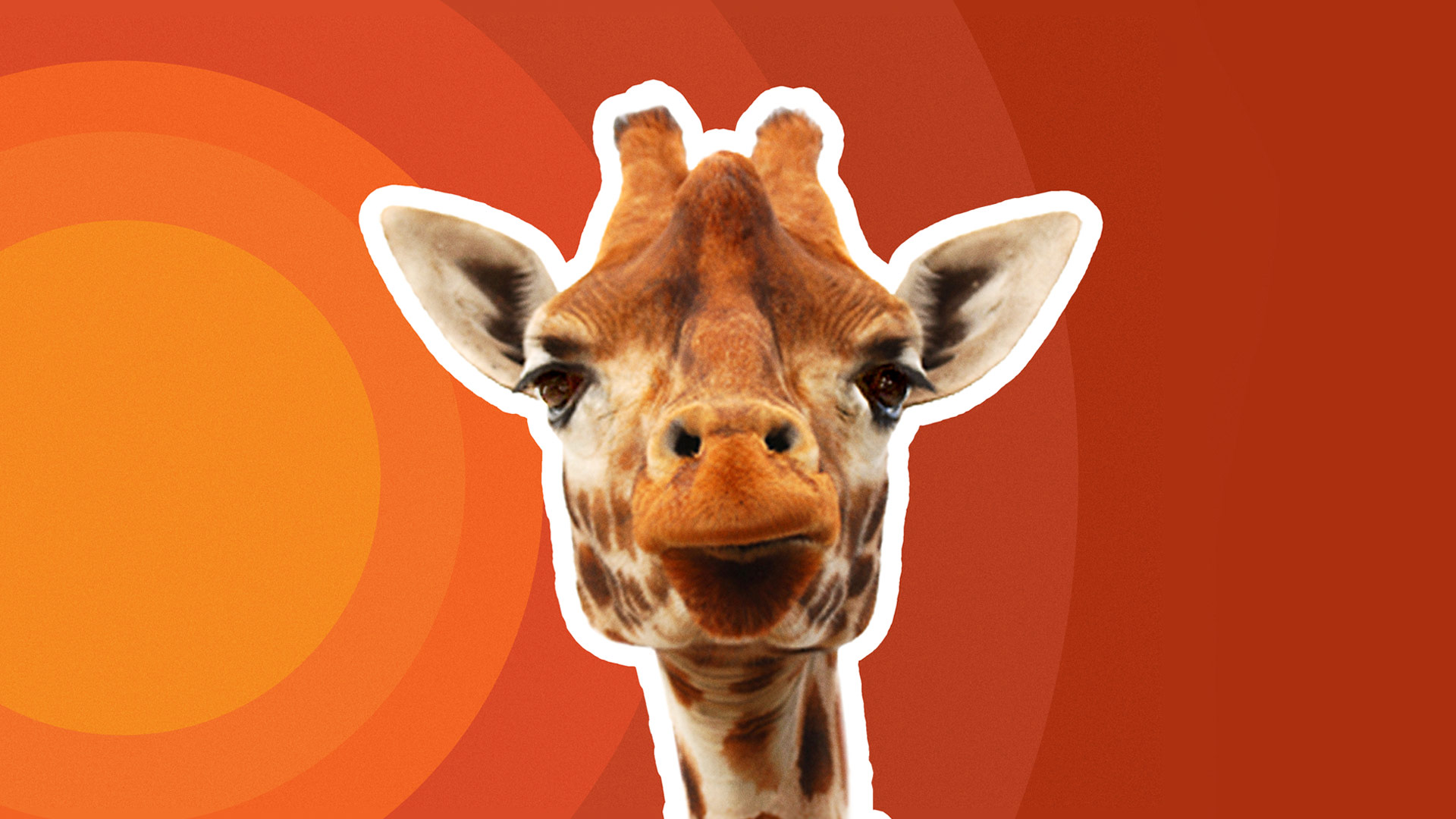 Weird But True! - Disney+