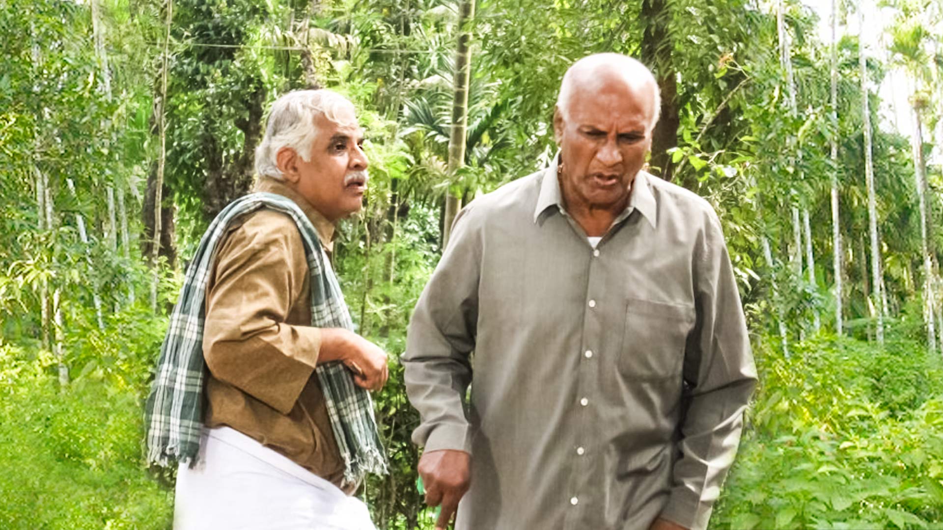 Disney+ Hotstar - Watch TV Shows, Movies, Specials, Live Cricket & Football