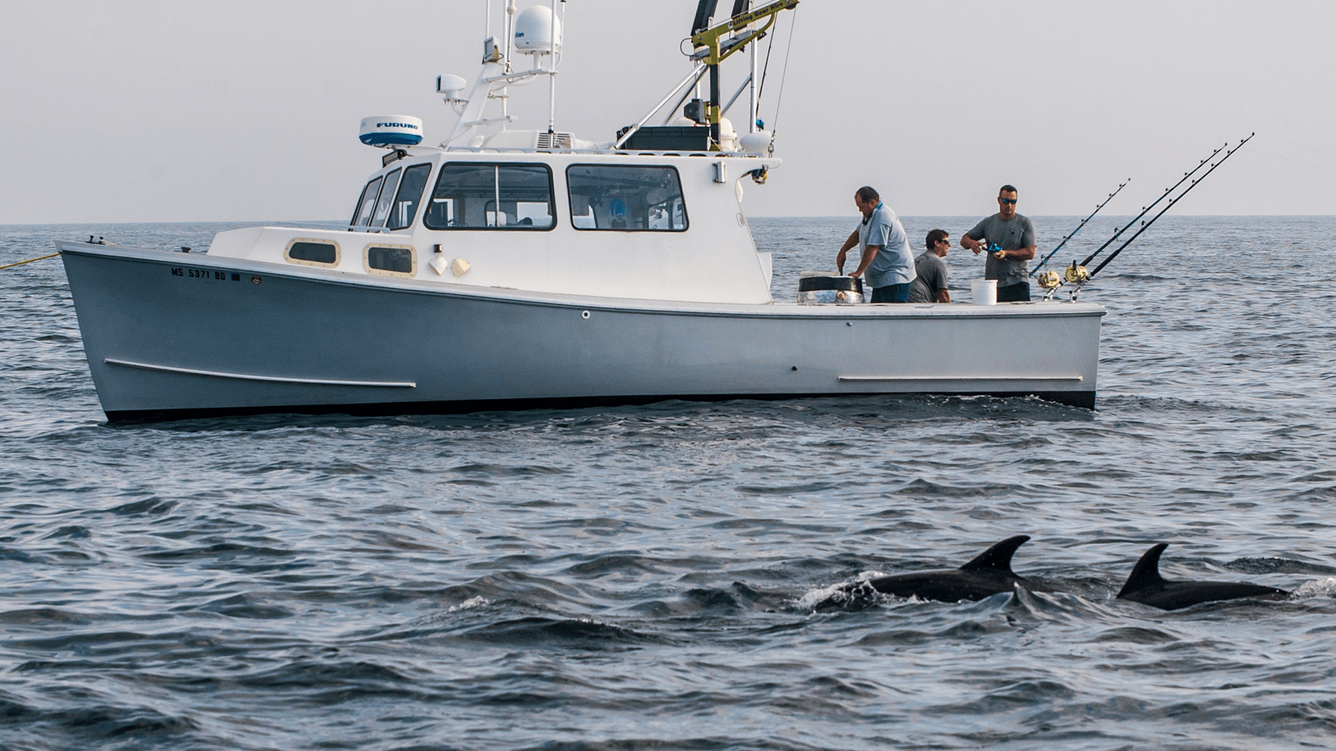 Wicked Tuna - Disney+