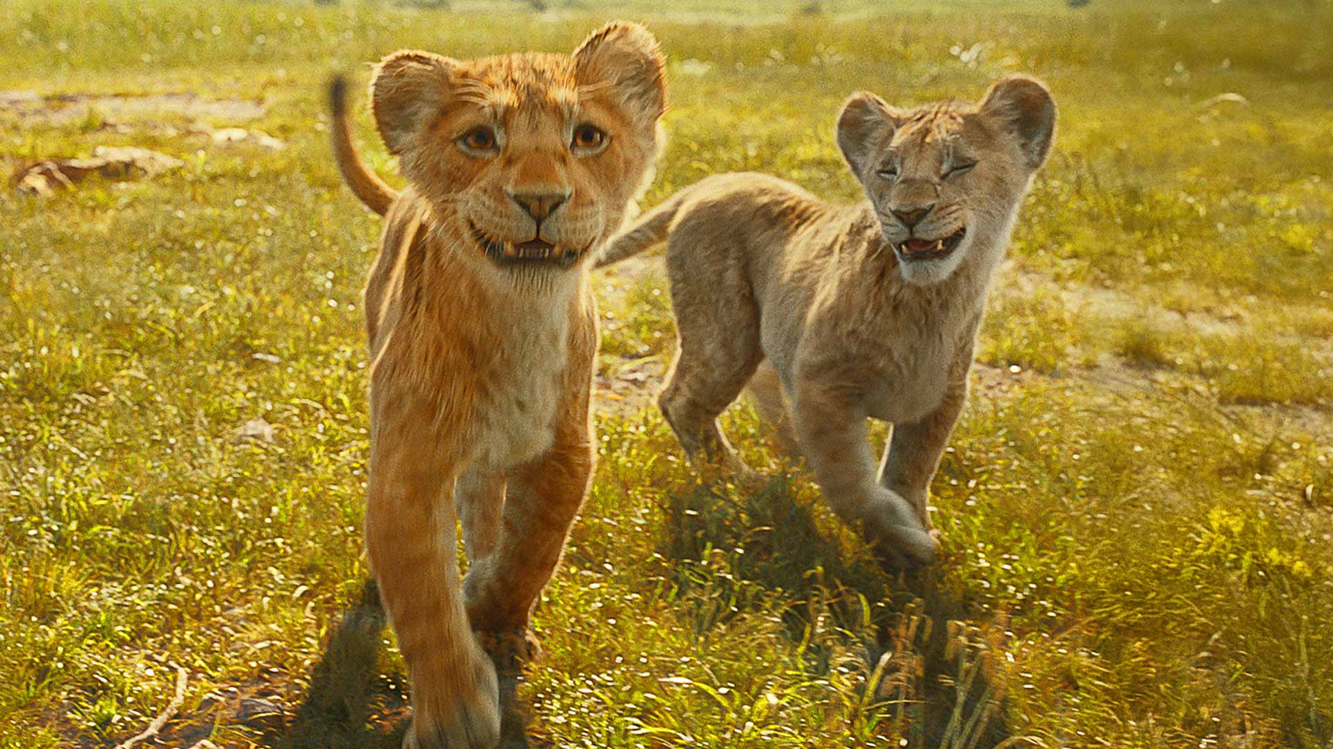 Mufasa: The Lion King Sing-Along on Disney+ Morocco | English Drama ...