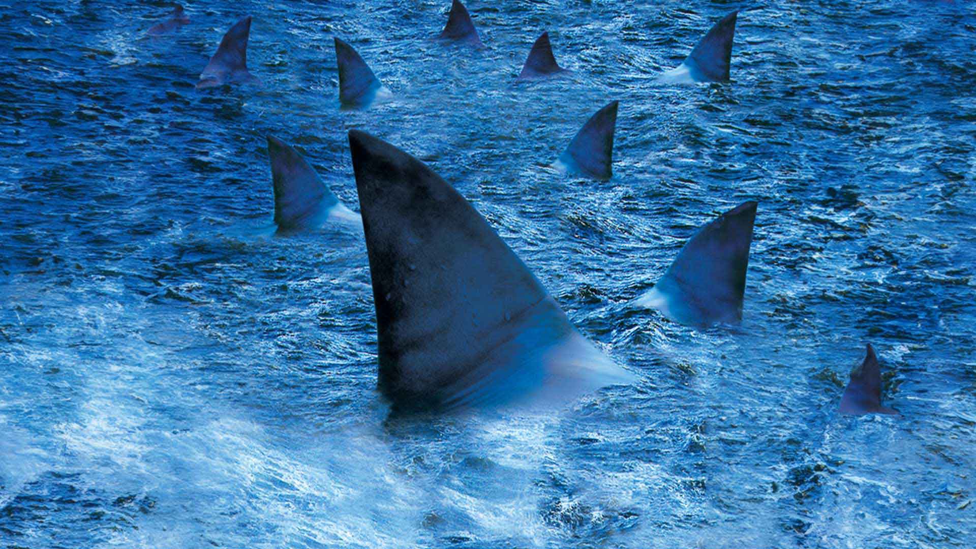 JioHotstar - Watch TV Shows, Movies, Specials, Live Cricket & Football