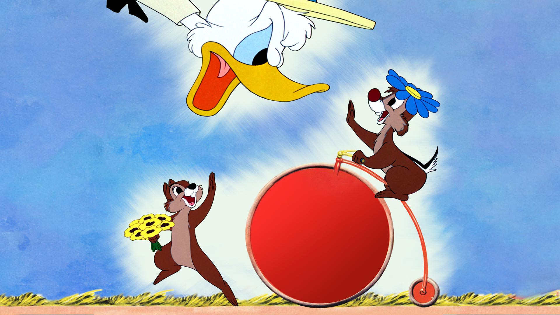 Crazy Over Daisy - Disney+