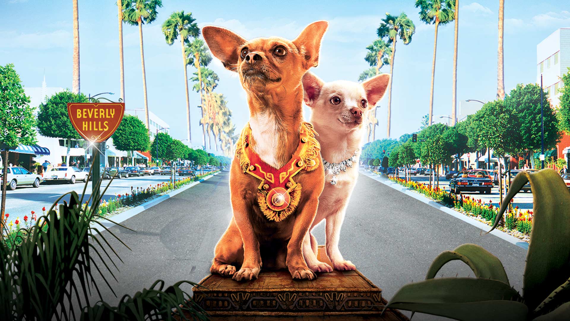 Beverly Hills Chihuahua on Disney+ Iraq | English German Japanese ...
