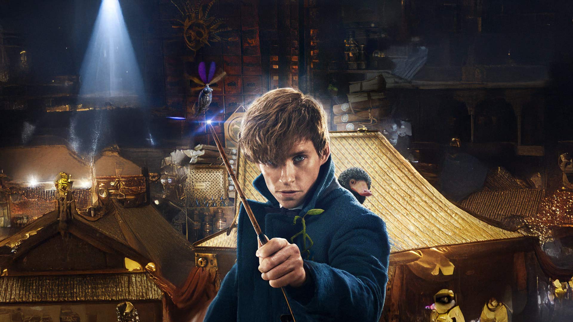 JioHotstar - Watch TV Shows, Movies, Specials, Live Cricket & Football