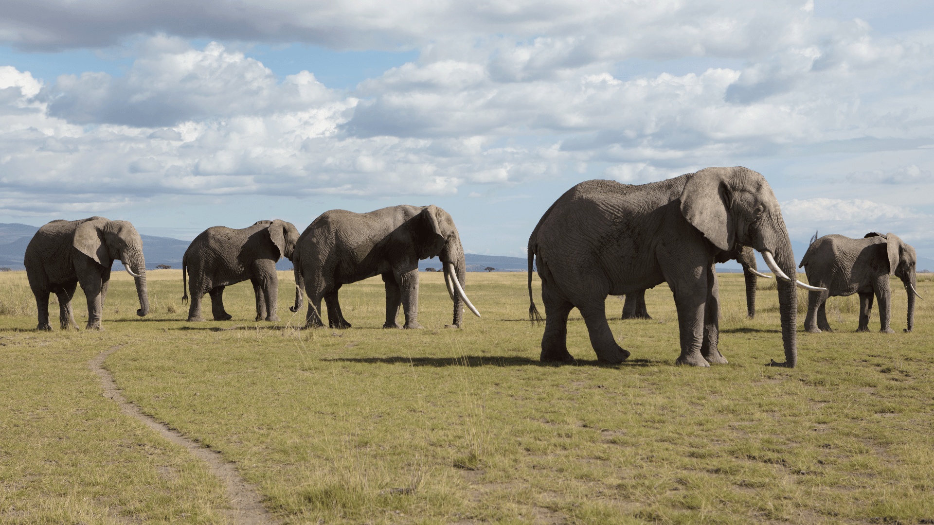 Hostile Planet - Disney+