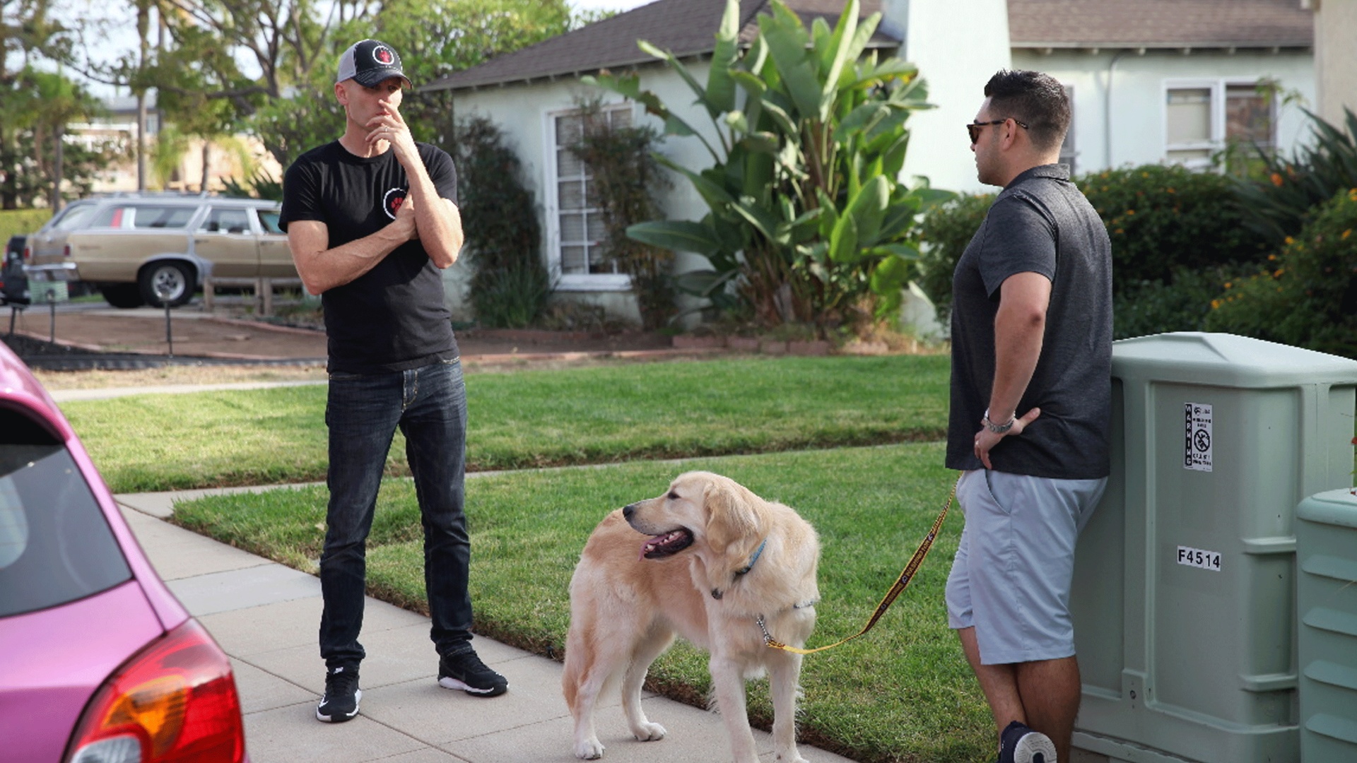 Dog: Impossible - Disney+