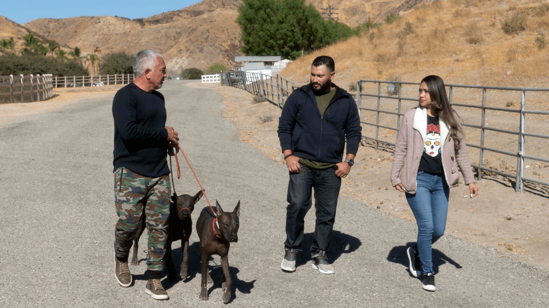 Cesar Millan: Better Human Better Dog - Disney+