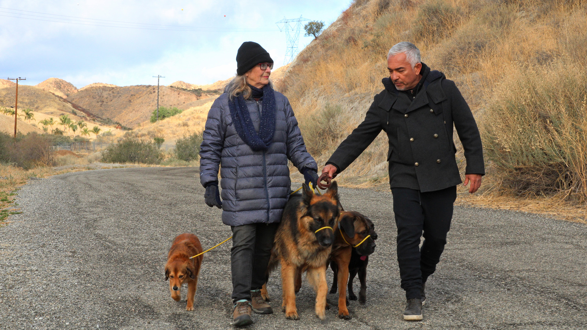 Cesar Millan: Better Human Better Dog - Disney+