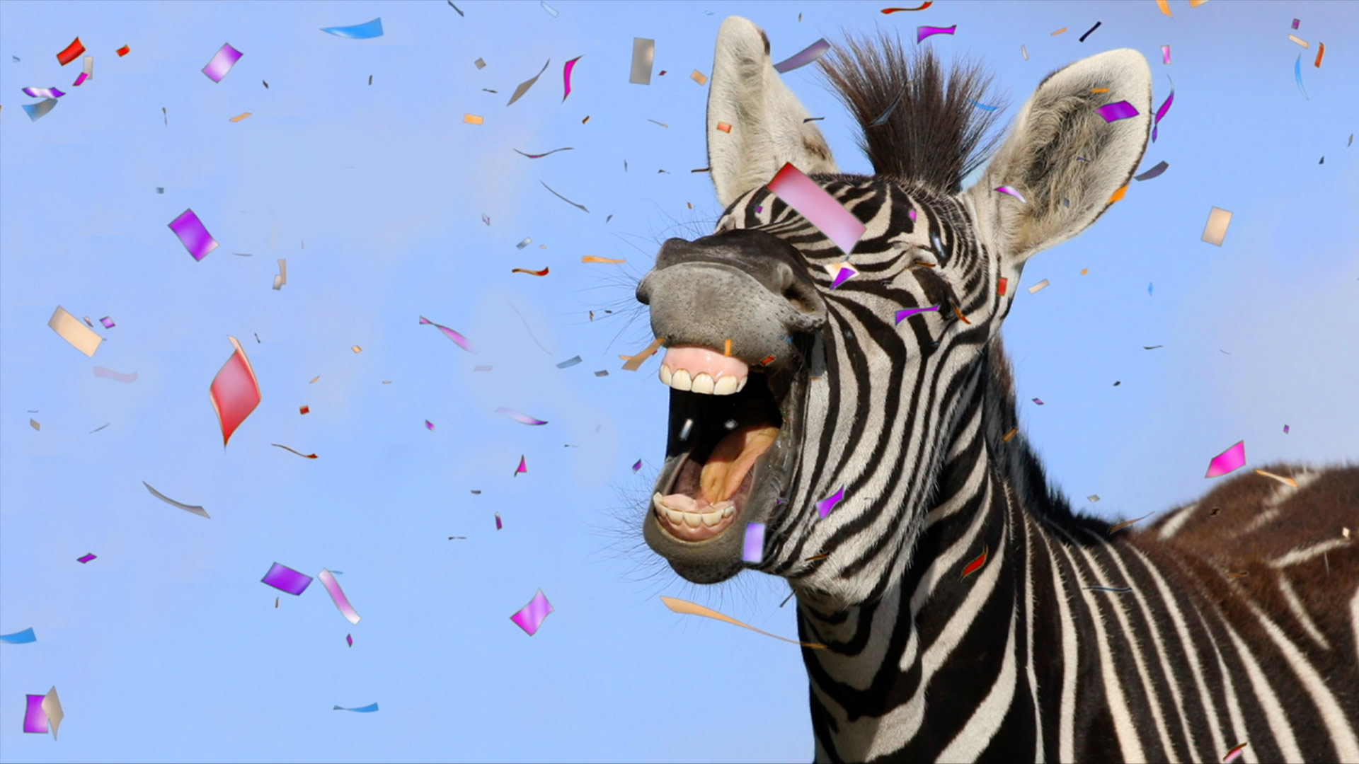 Party Animals - Disney+