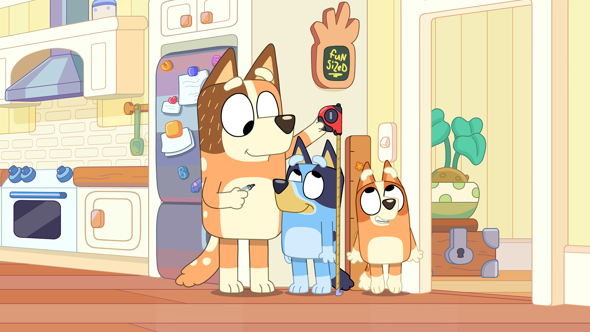 Bluey Minisodes on Disney+ South Africa | English Animation Comedy SHOW