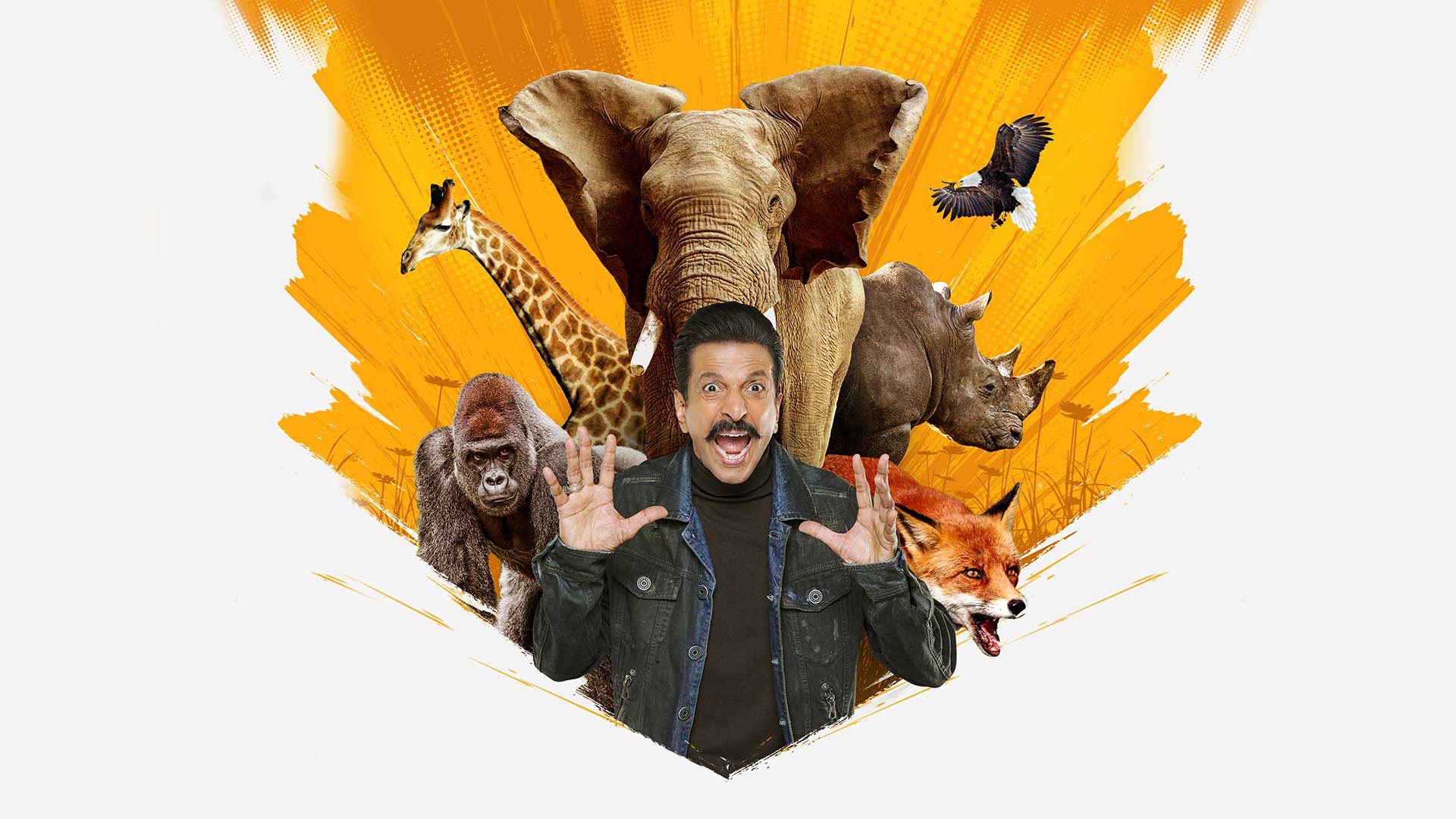 JioHotstar - Watch TV Shows, Movies, Specials, Live Cricket & Football