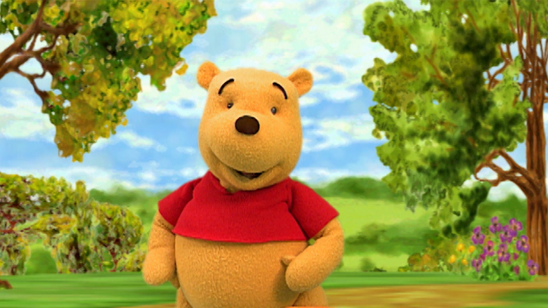 The Book Of Pooh Disney