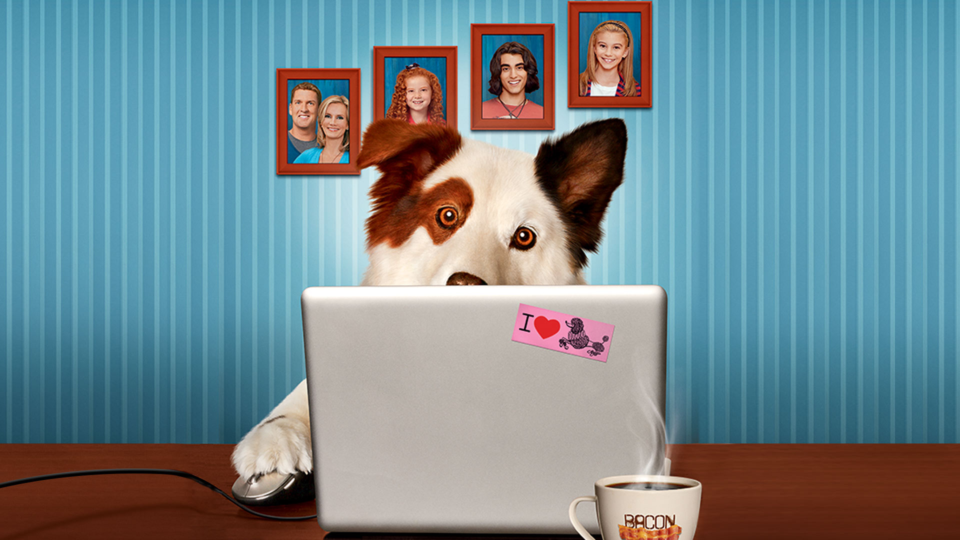 Dog With a Blog on Disney+ United Arab Emirates | English Japanese ...