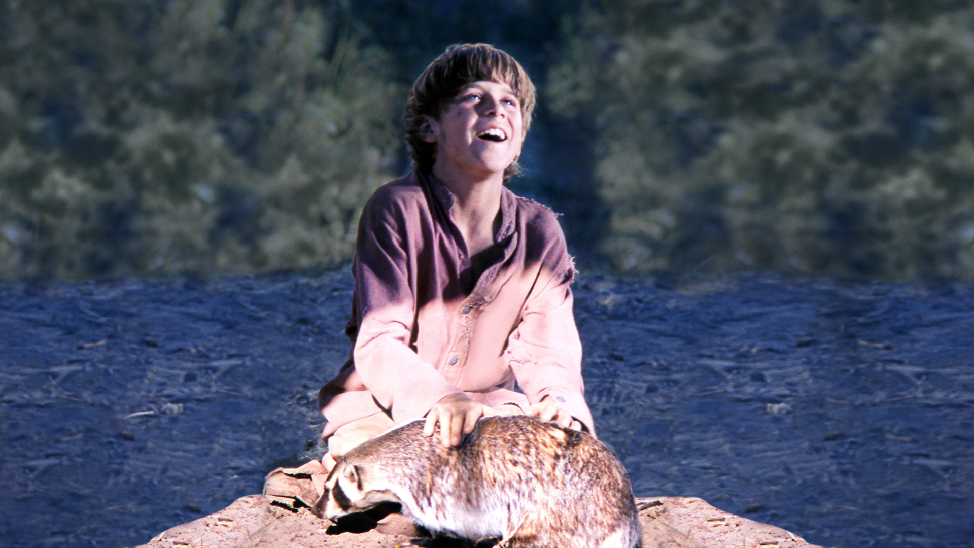 The Boy Who Talked to Badgers - Disney+