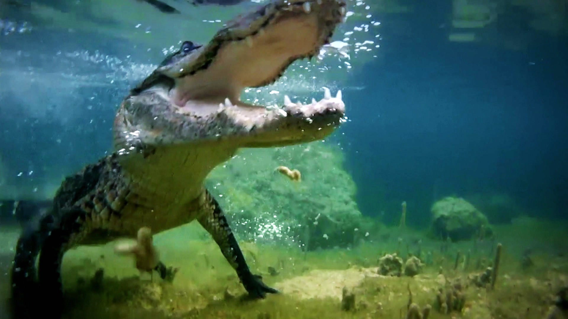 JioHotstar - Watch TV Shows, Movies, Specials, Live Cricket & Football